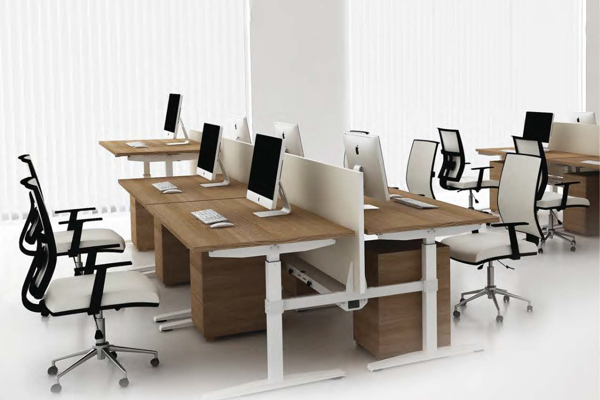 Motorised Height Adjustable Table – Mapleint.com